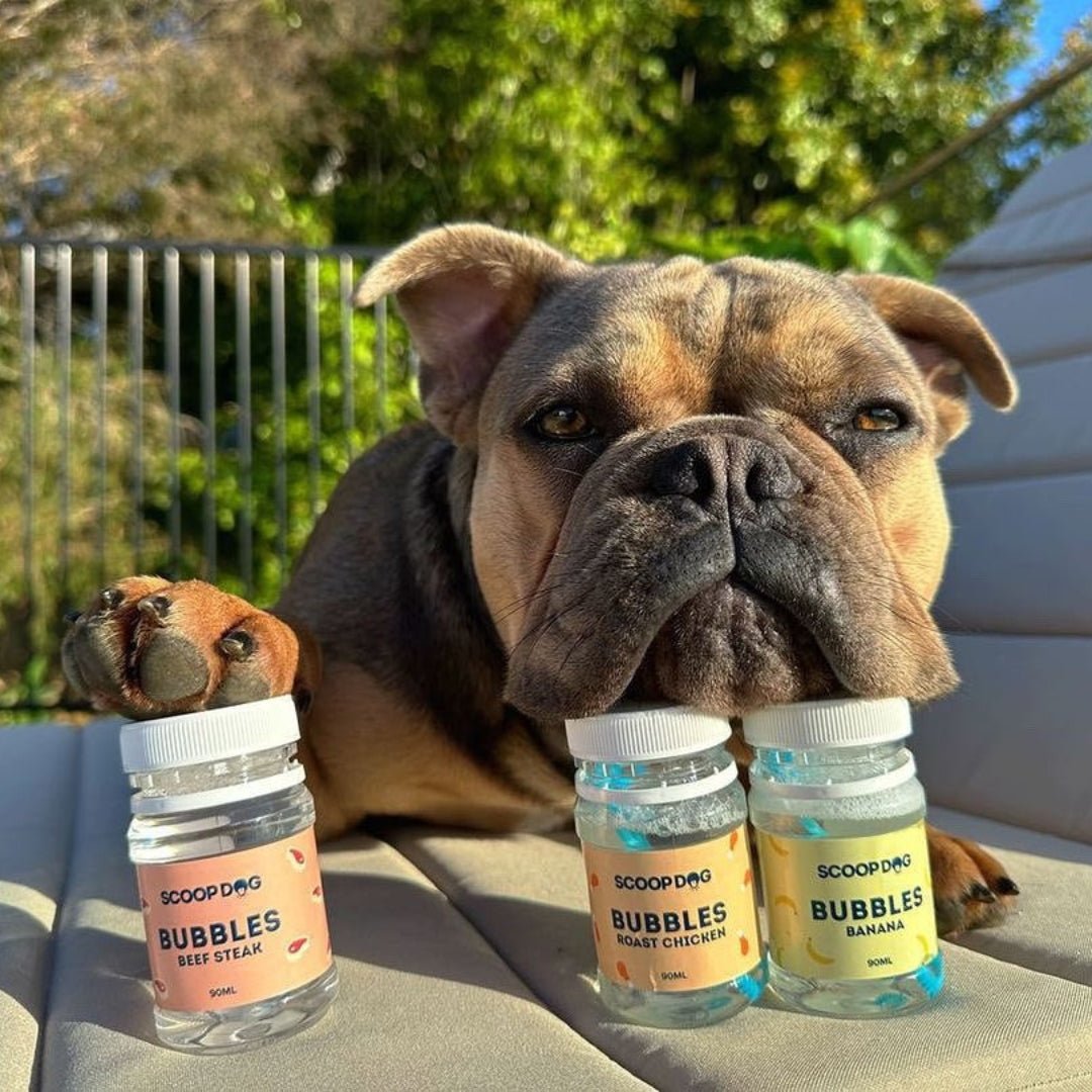 Dog Bubbles – Pooch Luxury