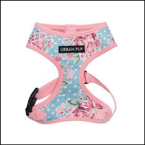 Urban Pup Collection – Pooch Luxury