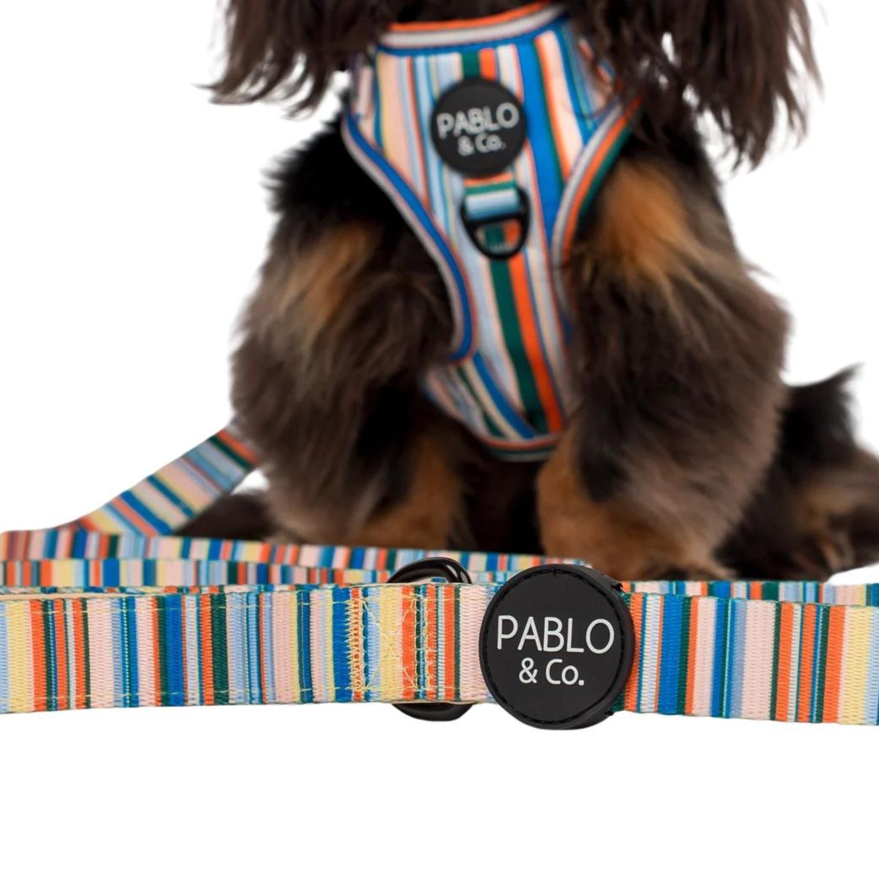 The Cabana Dog Leash - Pooch Luxury