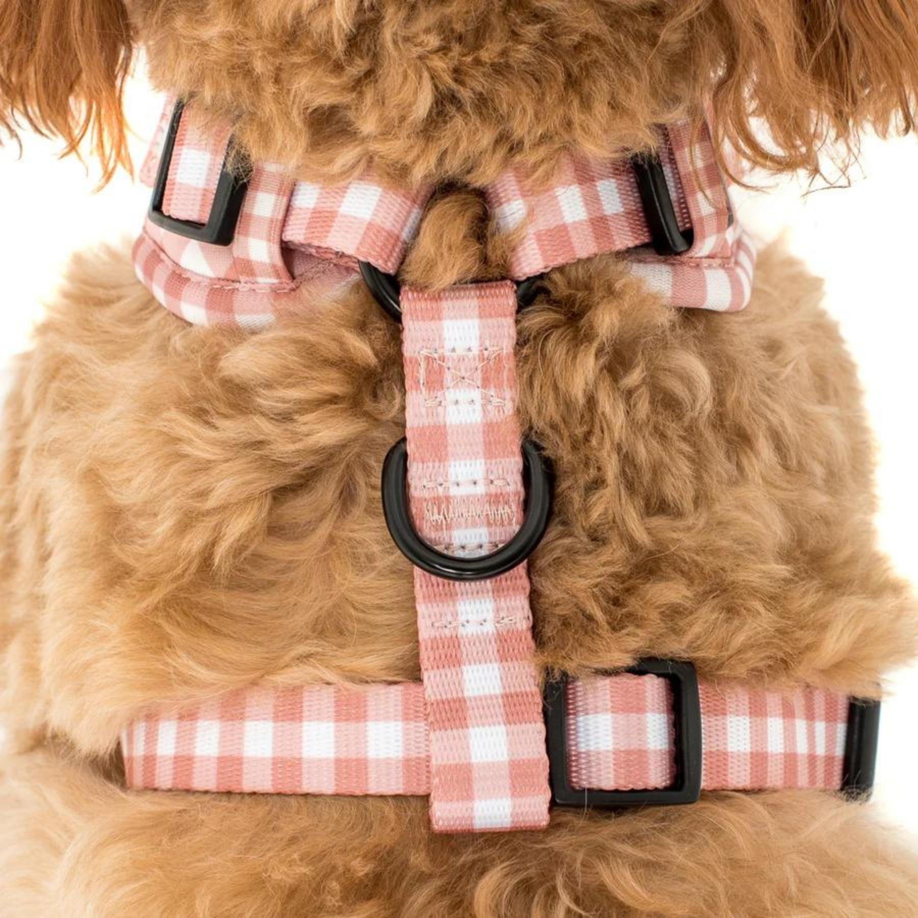 Chocolate Gingham Adjustable Harness - Pooch Luxury