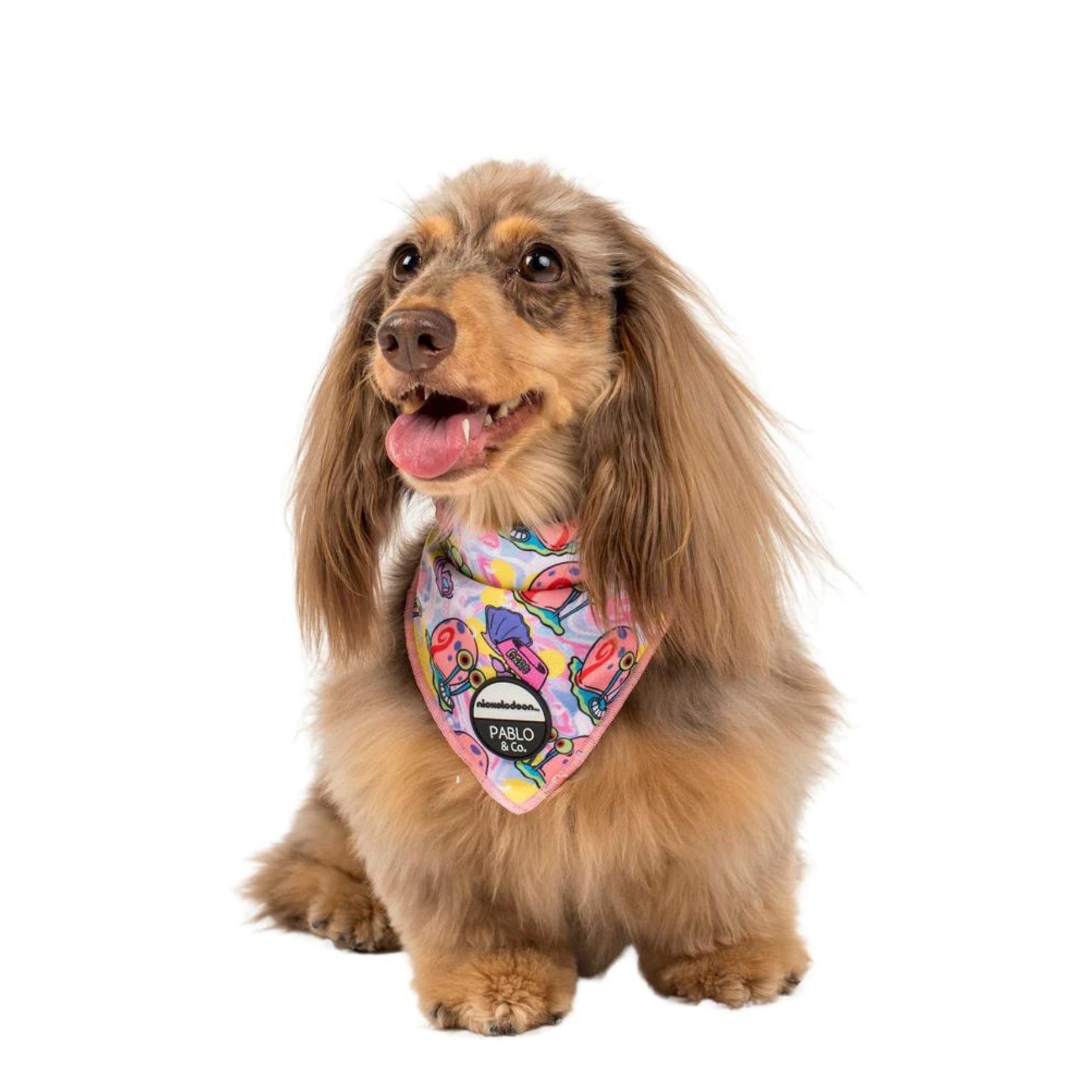 Gary Dog Bandana - Pooch Luxury
