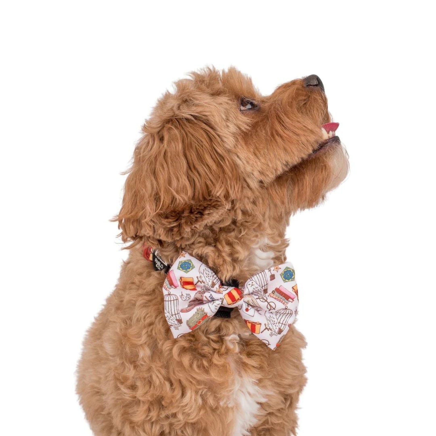 Harry Potter Bow Tie – Pooch Luxury