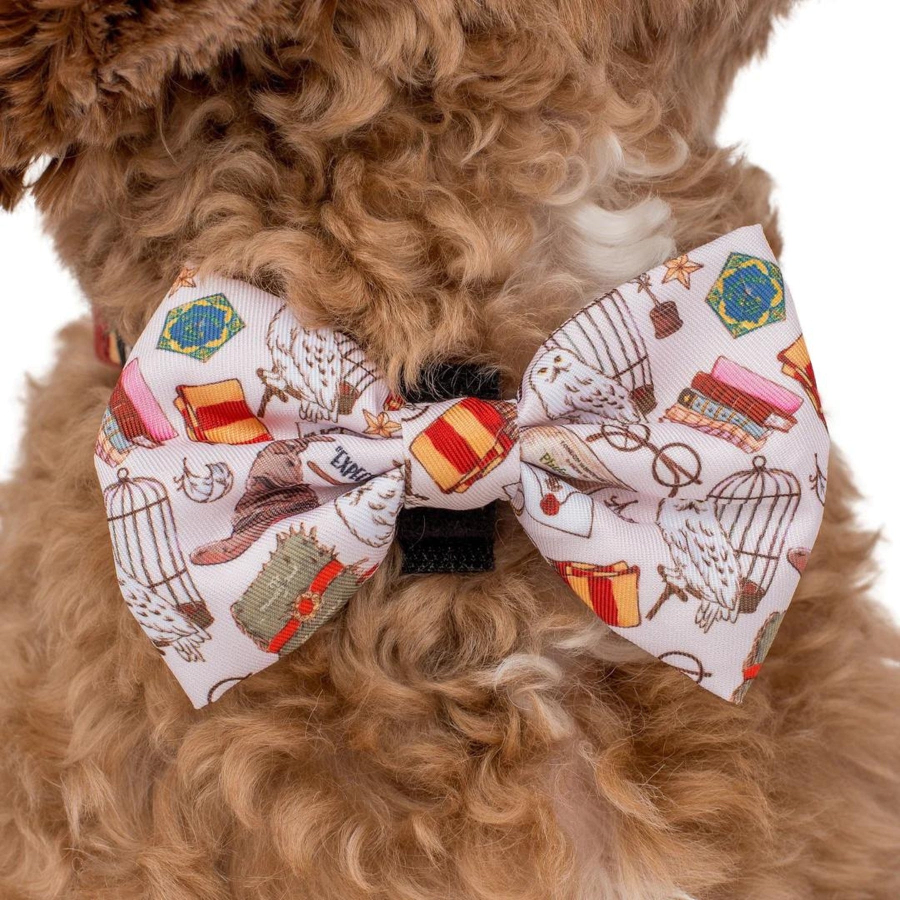 Harry Potter Bow Tie – Pooch Luxury
