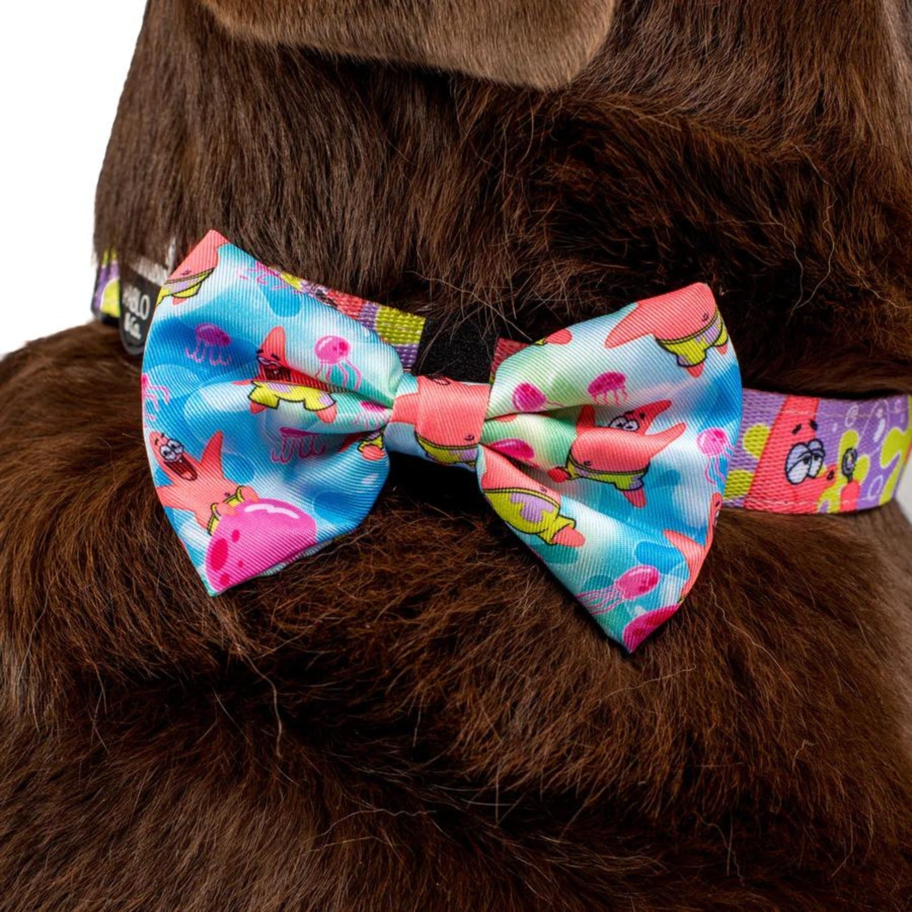 Patrick Bow Tie - Pooch Luxury