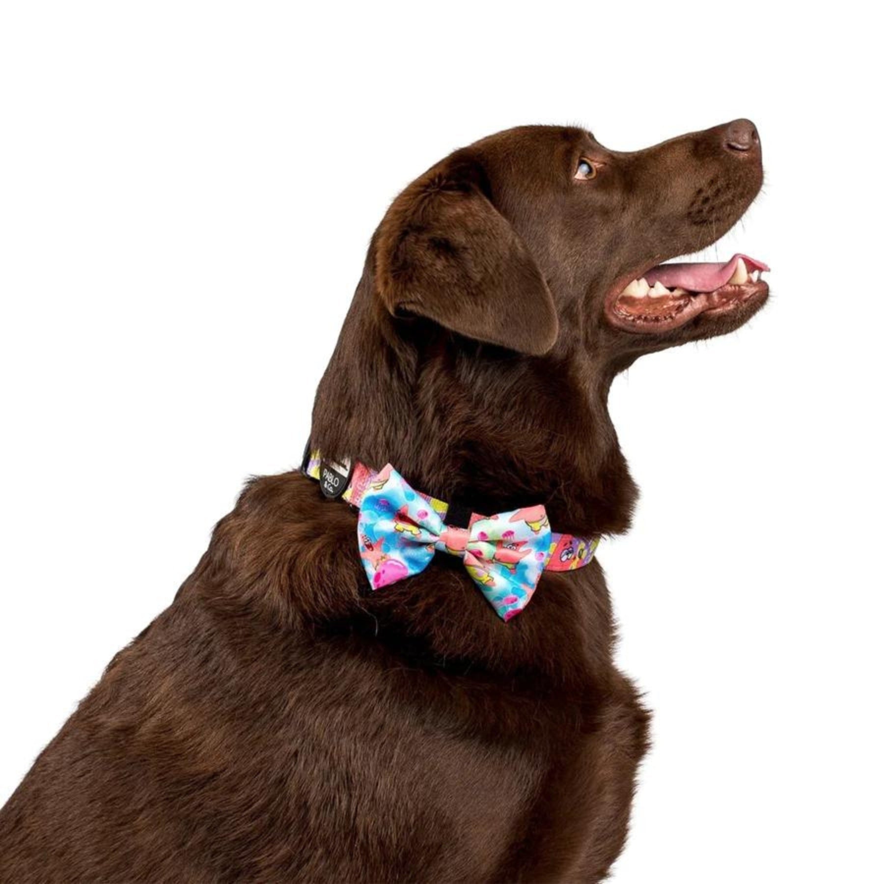 Patrick Bow Tie - Pooch Luxury