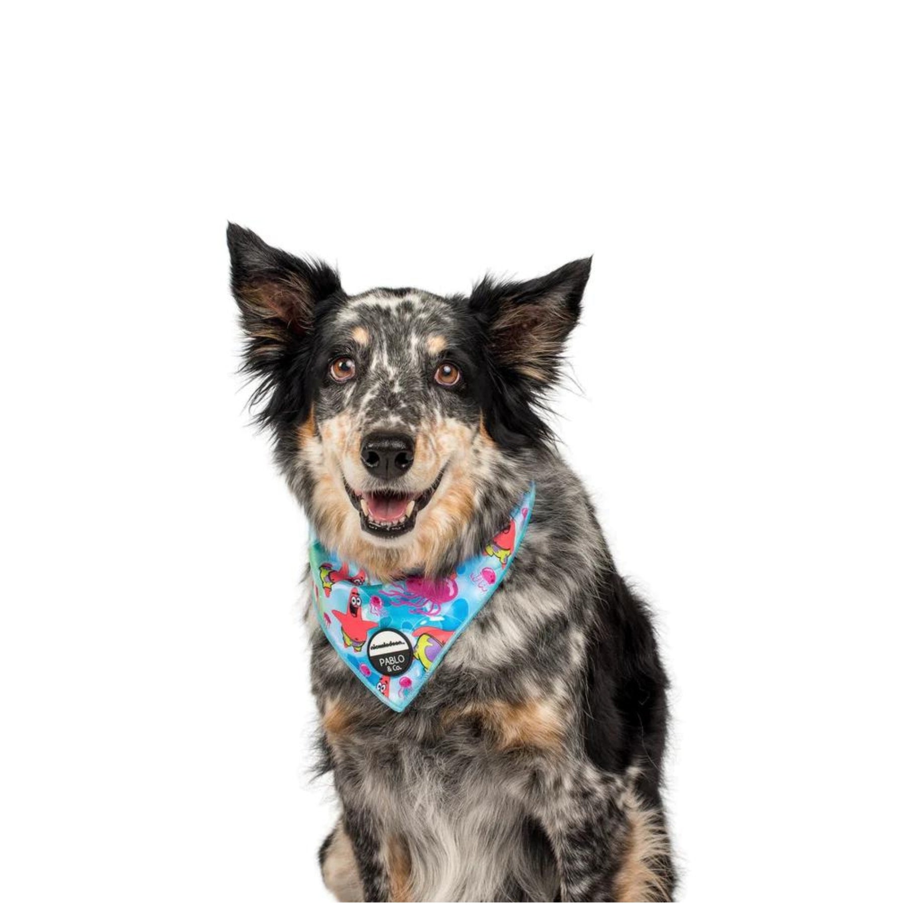 Patrick Dog Bandana - Pooch Luxury