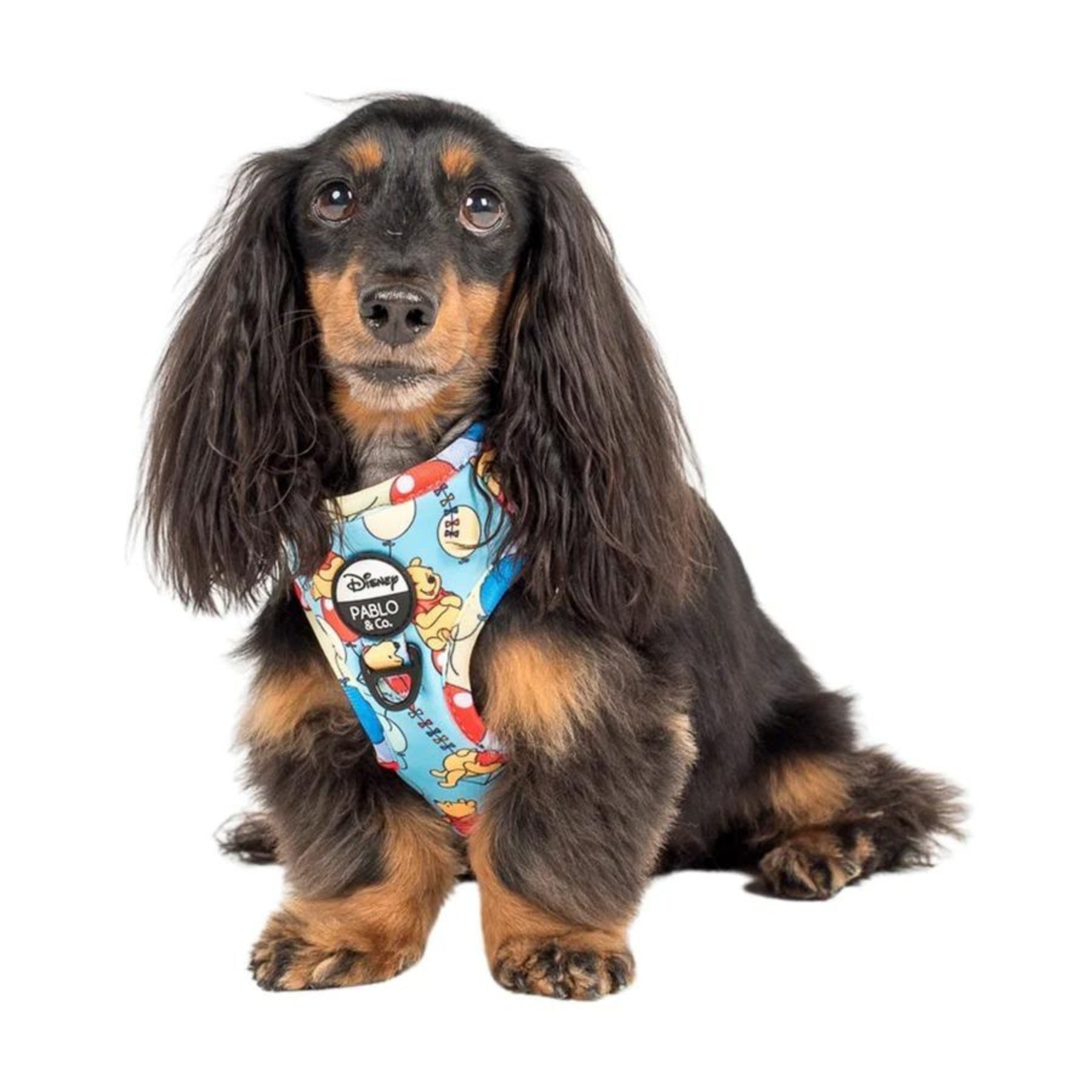 Pooh's Balloons Adjustable Harness- Pooch Luxury