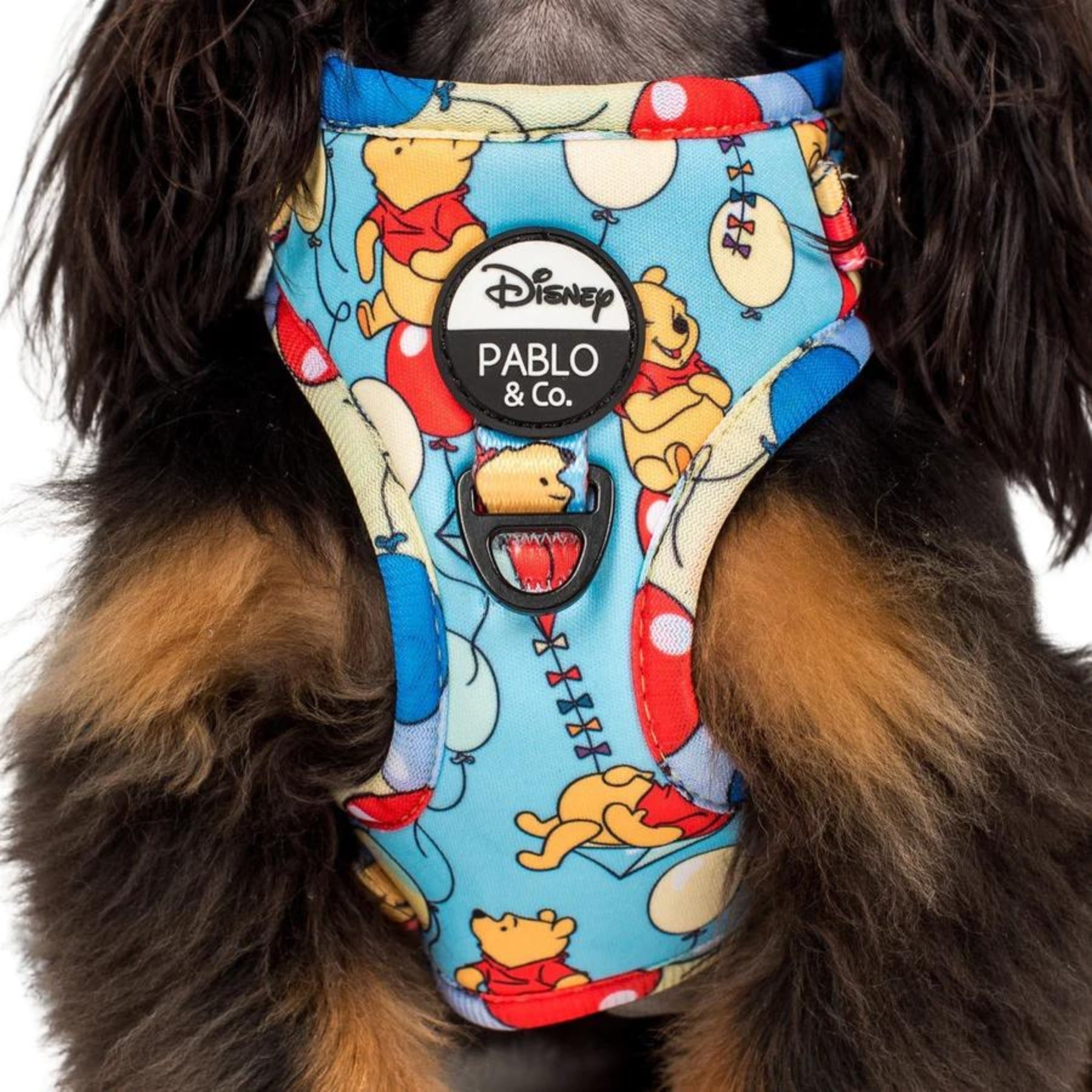 Pooh's Balloons Adjustable Harness- Pooch Luxury