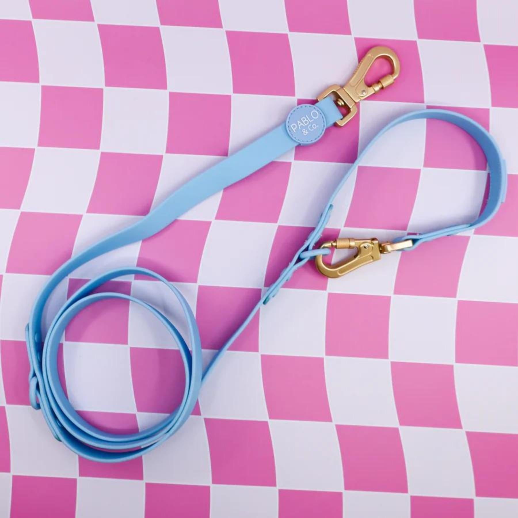 Sea Salt Multi-Functional Waterproof Leash - Pooch Luxury