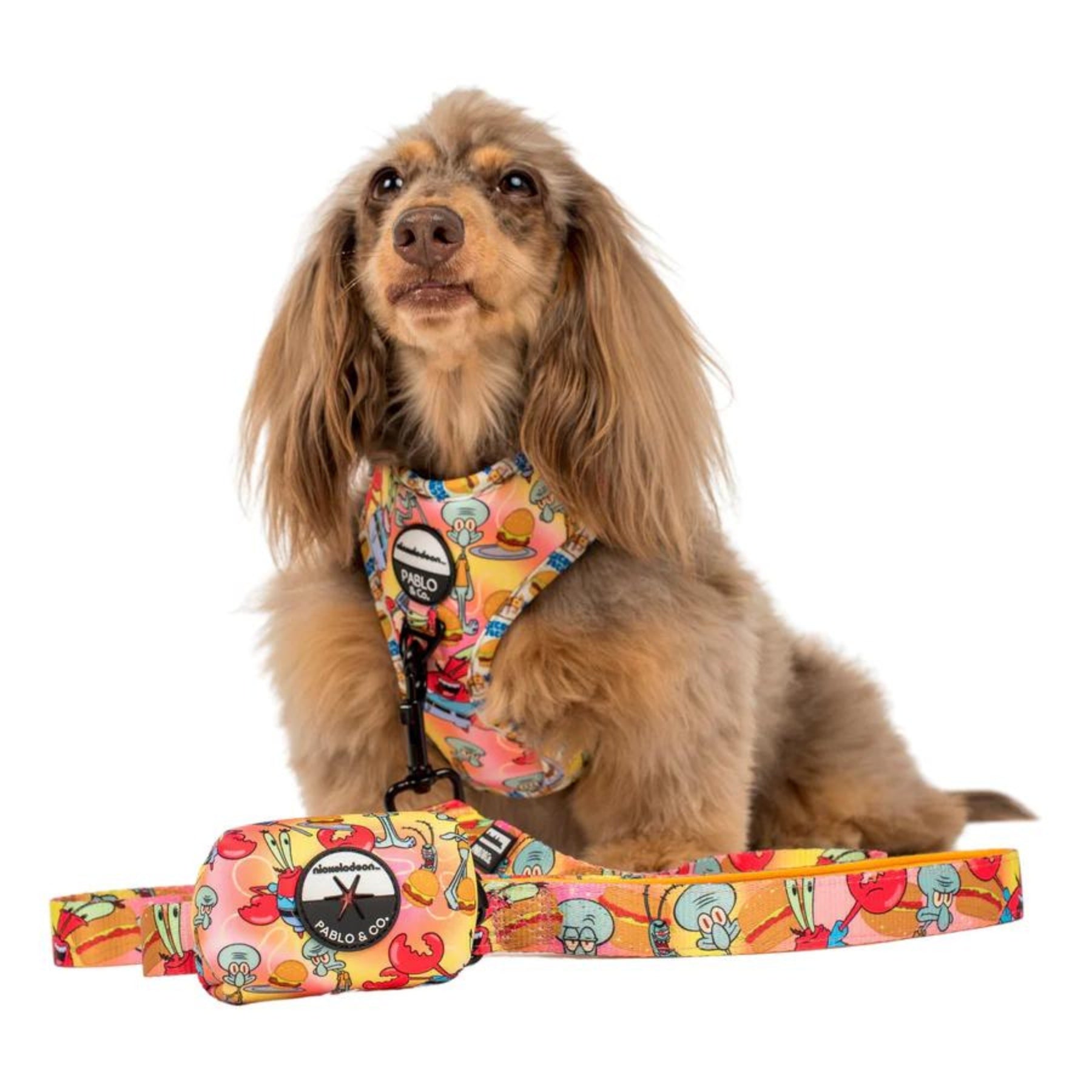 Squidward & Mr. Krabs Poop Bag Holder - Pooch Luxury