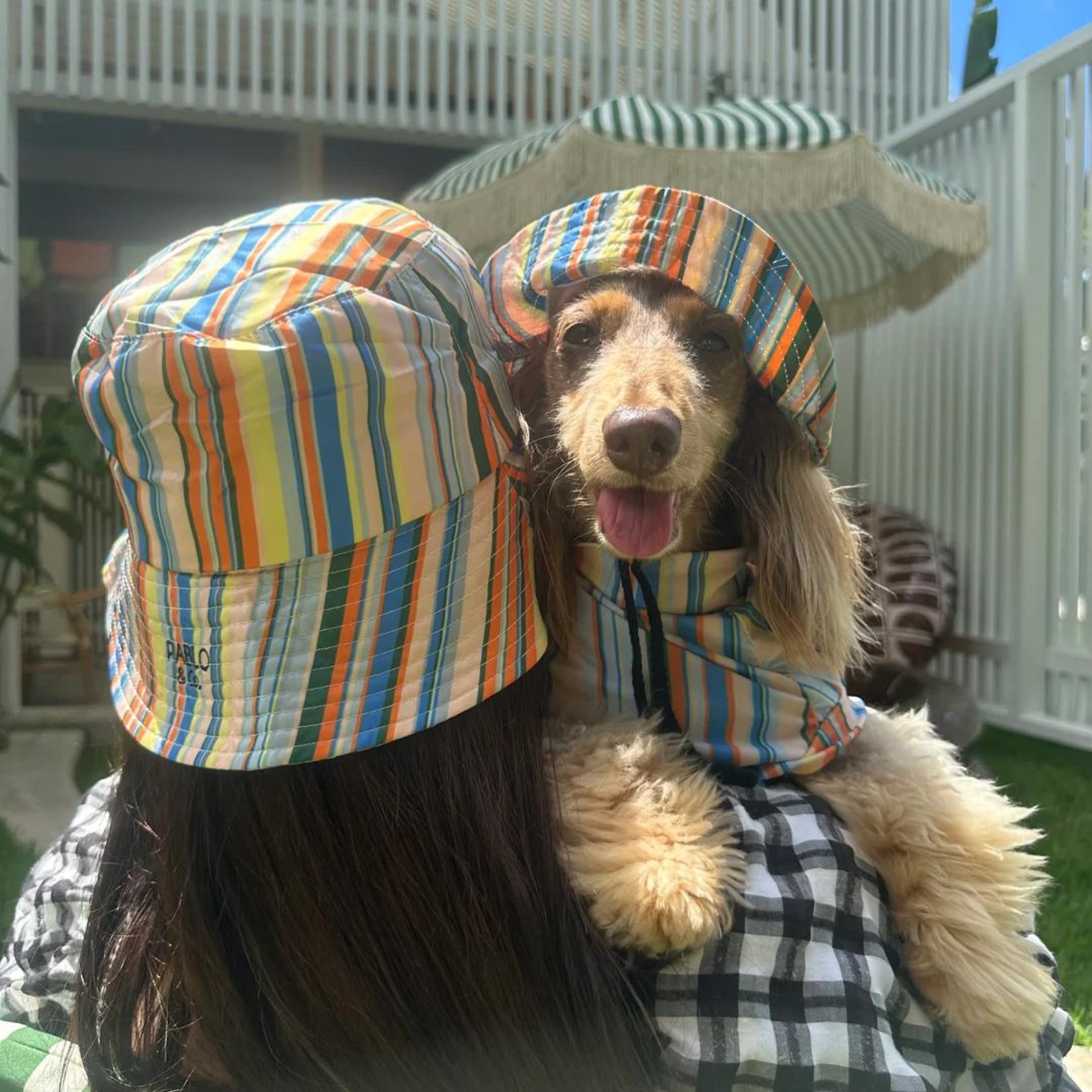 The Cabana Human Bucket Hat - Pooch Luxury