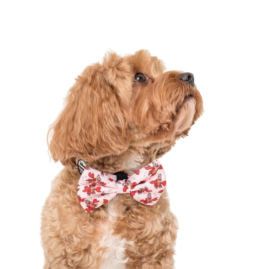 The Little Mermaid - Sebastian Bow Tie - Pooch Luxury